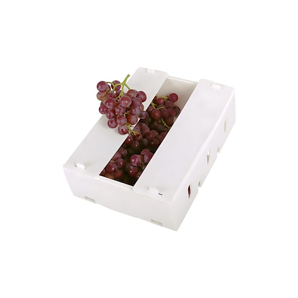 PP Grape Box | Ventilated Corrugated Plastic Grape Crate | PPBOXY