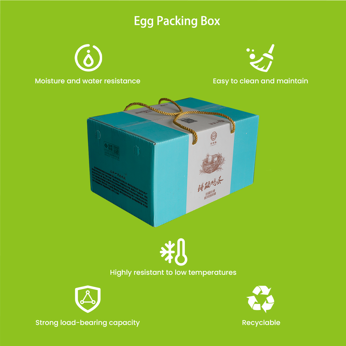 Egg Packing Box - ppboxy.com